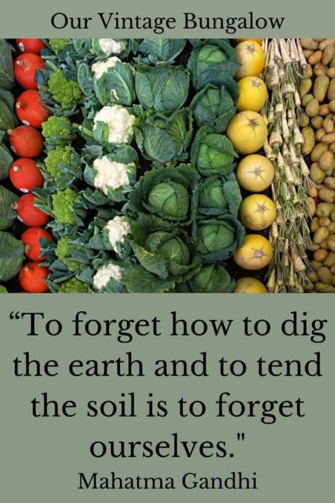70 Funny & Inspiring Vegetable Gardening Quotes - Our Vintage Bungalow