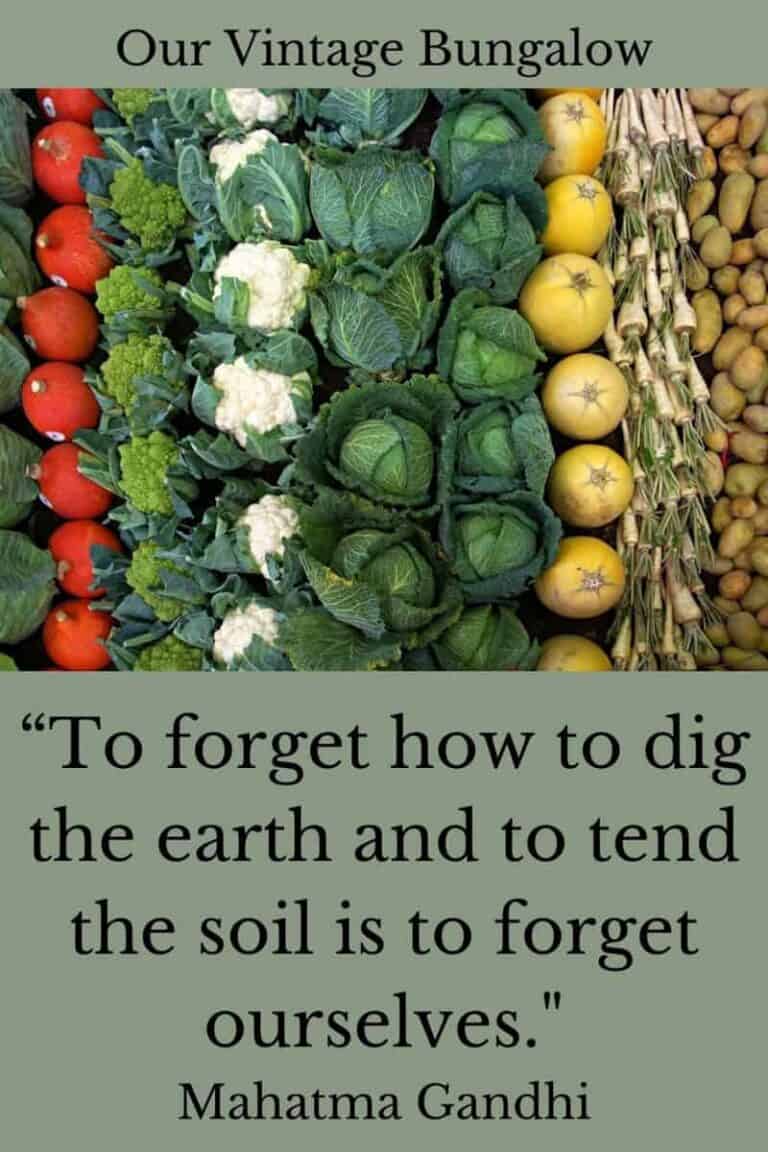 70 Funny & Inspiring Vegetable Gardening Quotes - Our Vintage Bungalow