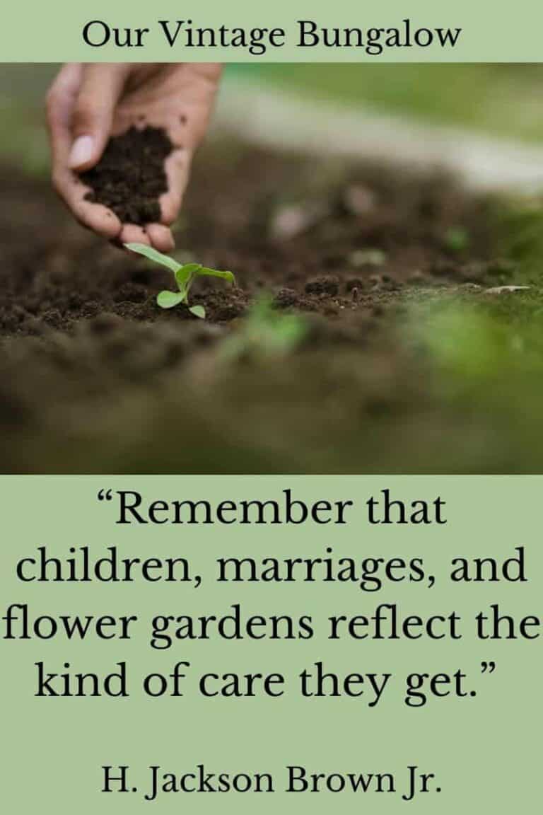 70 Funny & Inspiring Vegetable Gardening Quotes - Our Vintage Bungalow