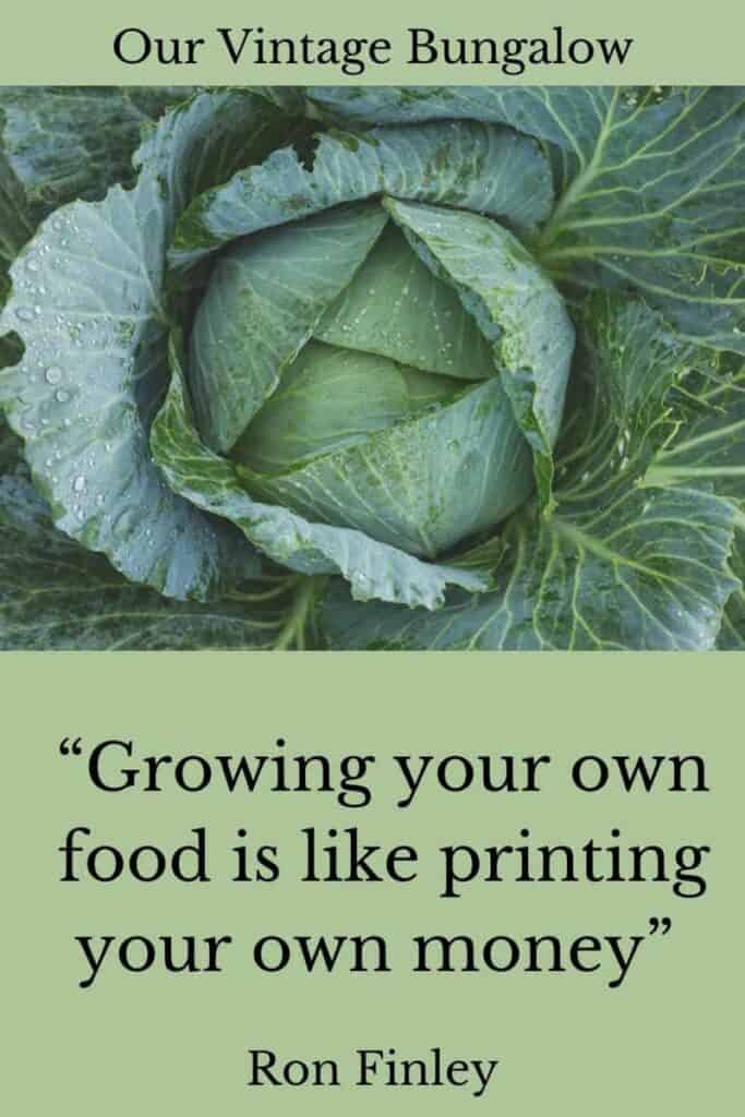 70 Funny & Inspiring Vegetable Gardening Quotes - Our Vintage Bungalow