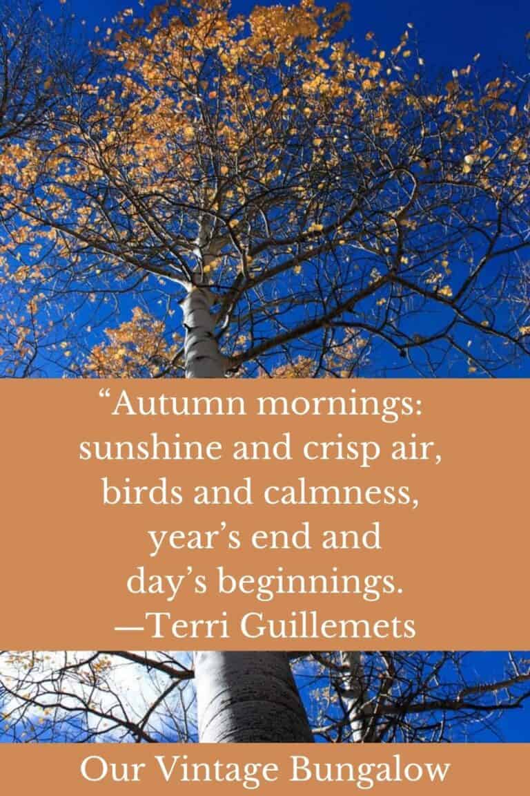 100 Inspirational Fall Poems and Quotes - Our Vintage Bungalow