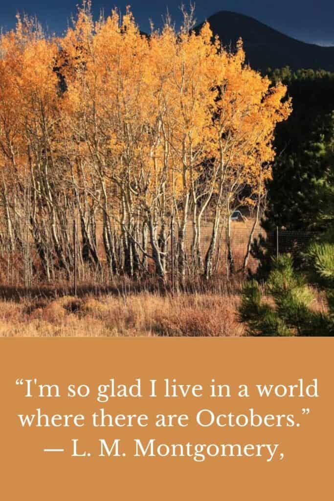 100 Inspirational Fall Poems and Quotes - Our Vintage Bungalow